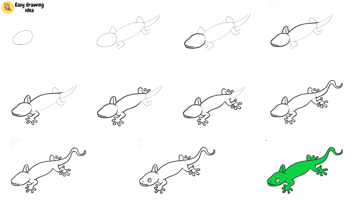 How to Draw a Lizard Step by Step - Hand Of Art