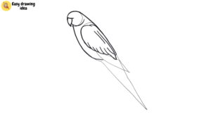 How to Draw a Parrot Step by Step - Hand Of Art