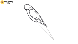 How to Draw a Parrot Step by Step - Hand Of Art