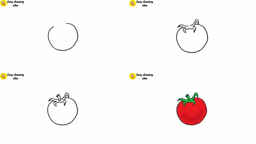 How to Draw a Tomato Step by Step - Hand Of Art