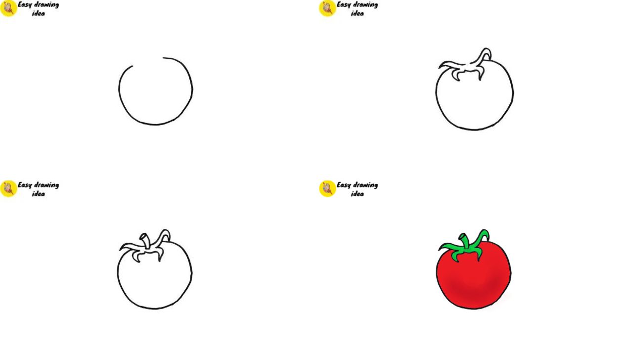 How to Draw a Tomato Step by Step - Hand Of Art
