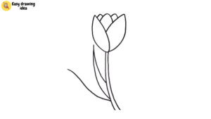 How to Draw a Tulip Step by Step for Kids - Hand Of Art