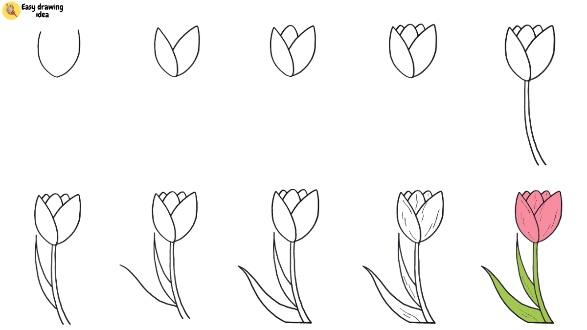 How to Draw a Tulip Step by Step for Kids - Hand Of Art