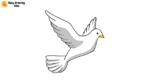 How to Draw a Dove Step by Step - Hand Of Art