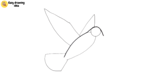 How to Draw a Dove Step by Step - Hand Of Art