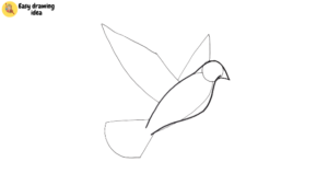 How to Draw a Dove Step by Step - Hand Of Art