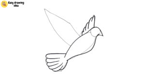 How to Draw a Dove Step by Step - Hand Of Art