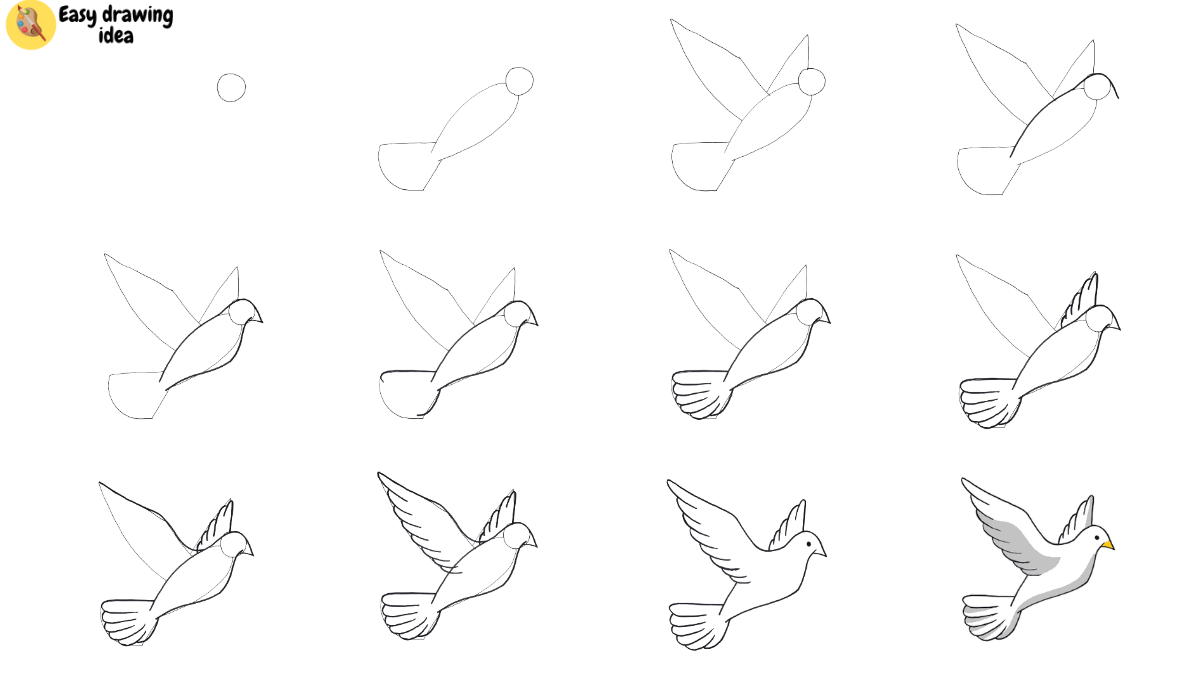 How to Draw a Dove Step by Step - Hand Of Art