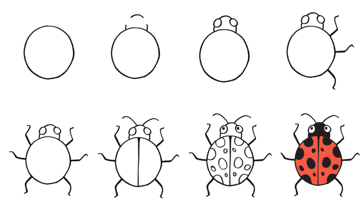 How To Draw A Ladybug Step By Step - Hand Of Art