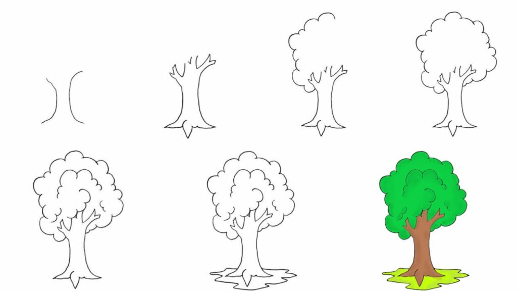 How to Draw a Tree Step by Step for Kids - Hand Of Art