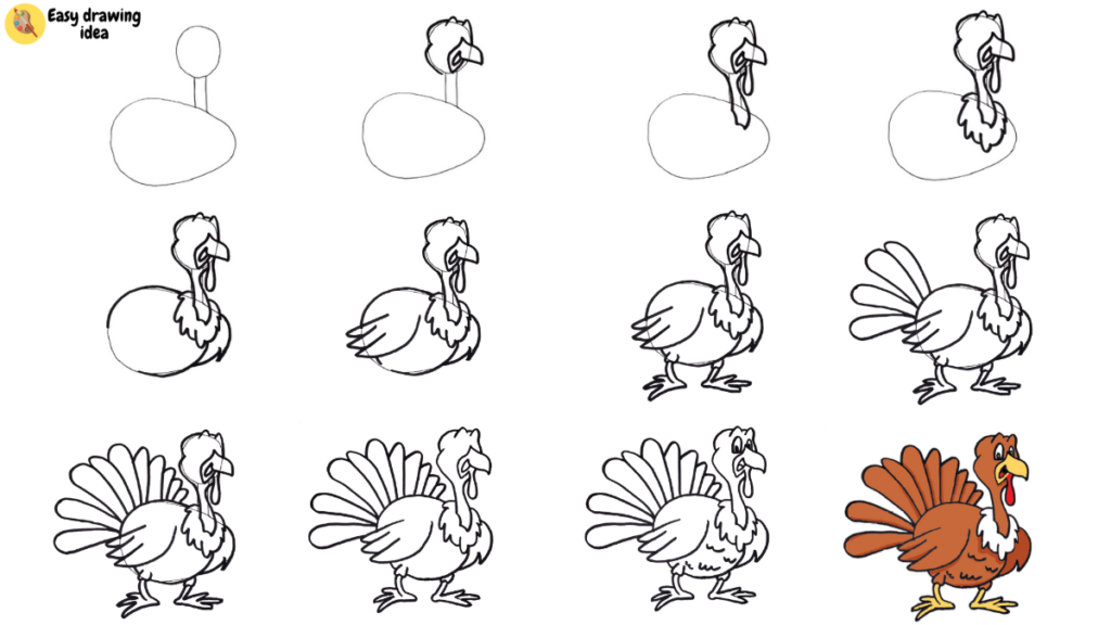 How To Draw A Turkey Step By Step - Hand Of Art
