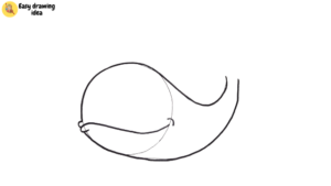 How to Draw a Whale Step by Step - Hand Of Art