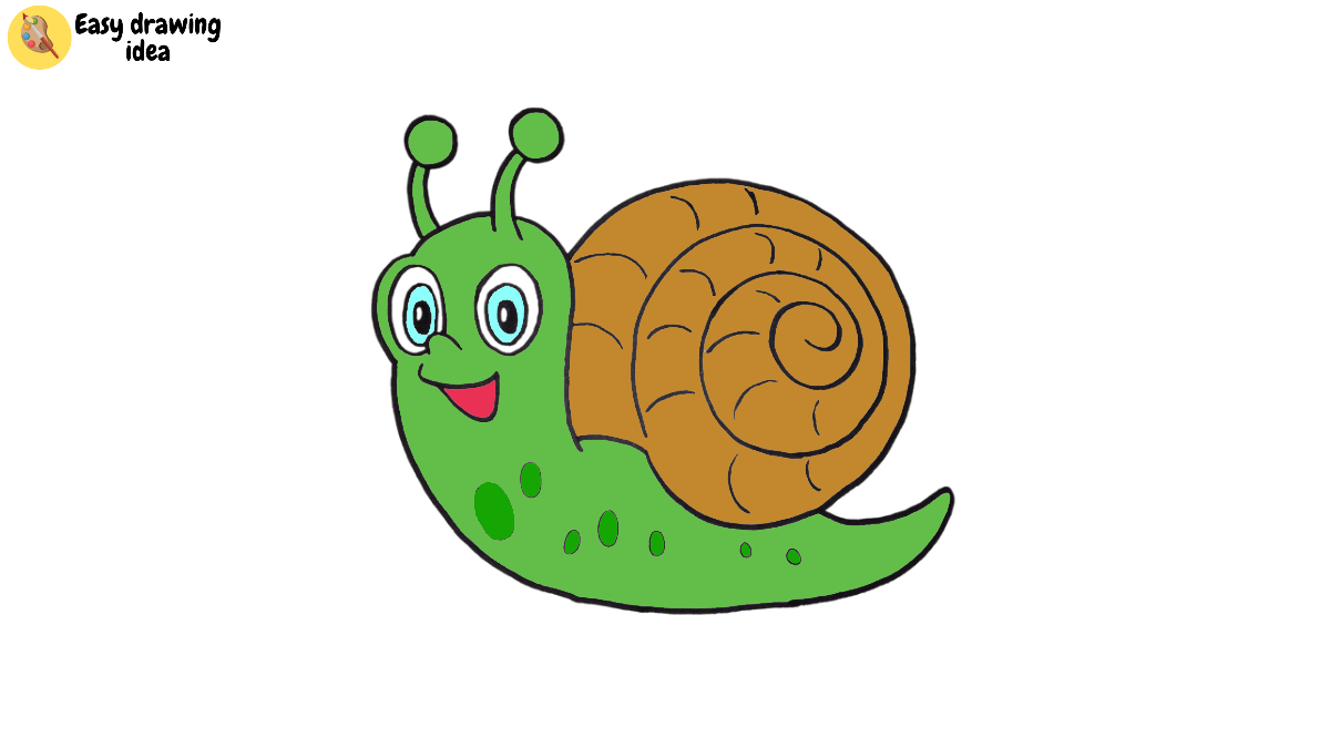 How to Draw a Snail Step By Step