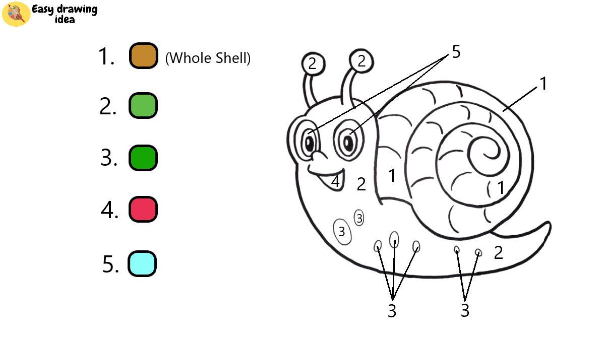 How to Draw a Snail Step By Step