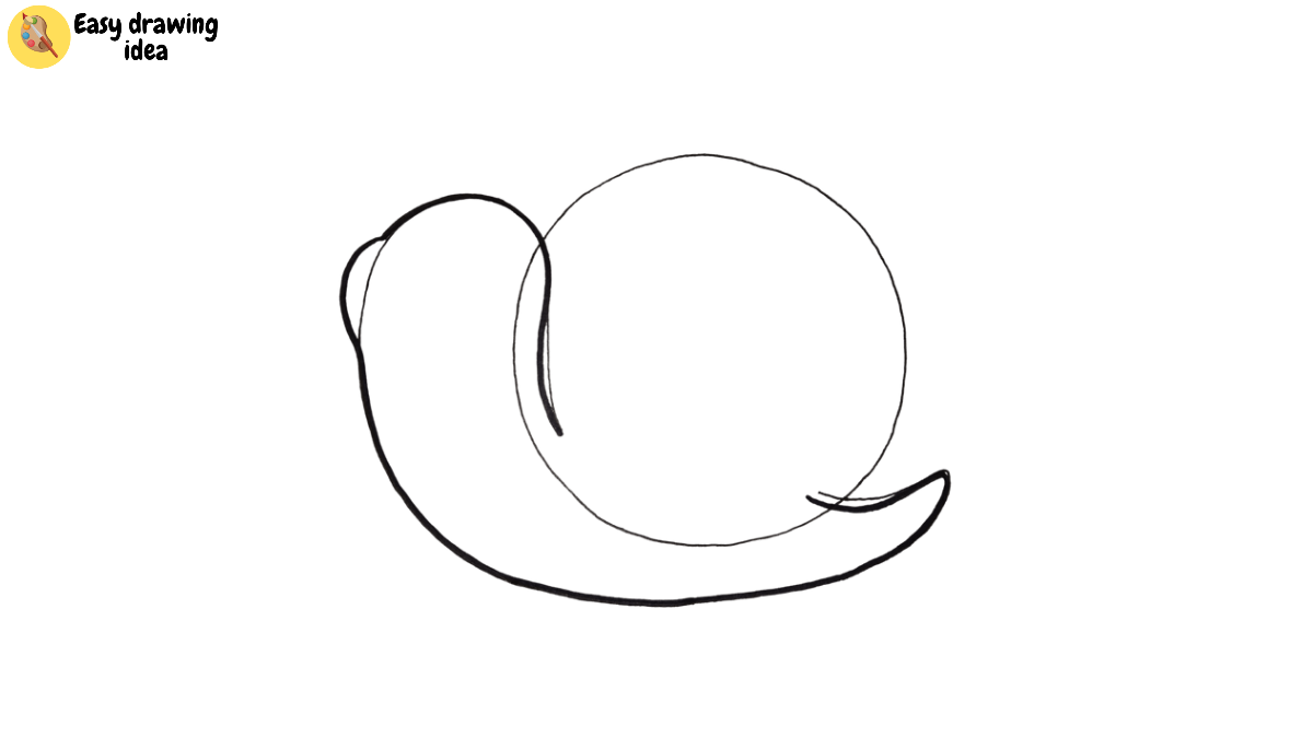 How to Draw a Snail Step By Step