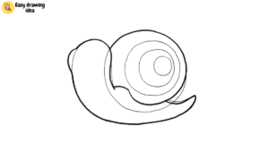How to Draw a Snail Step By Step