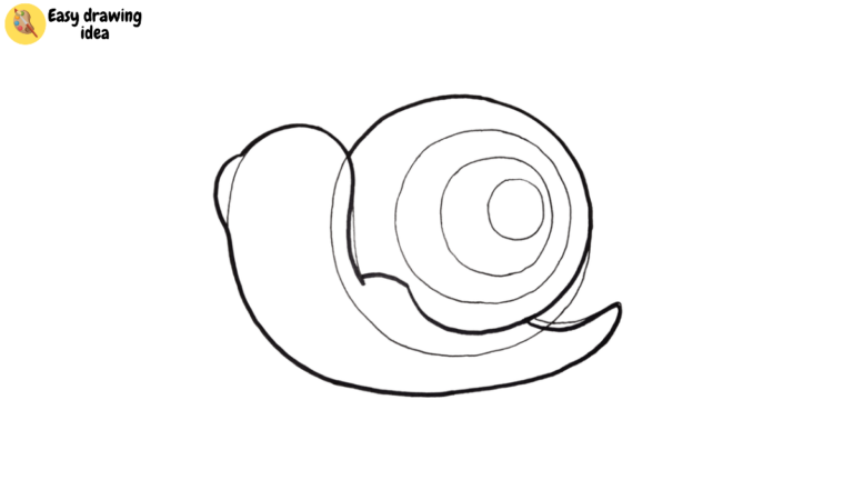 How to Draw a Snail Step By Step