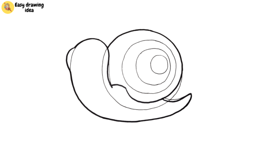 How to Draw a Snail Step By Step