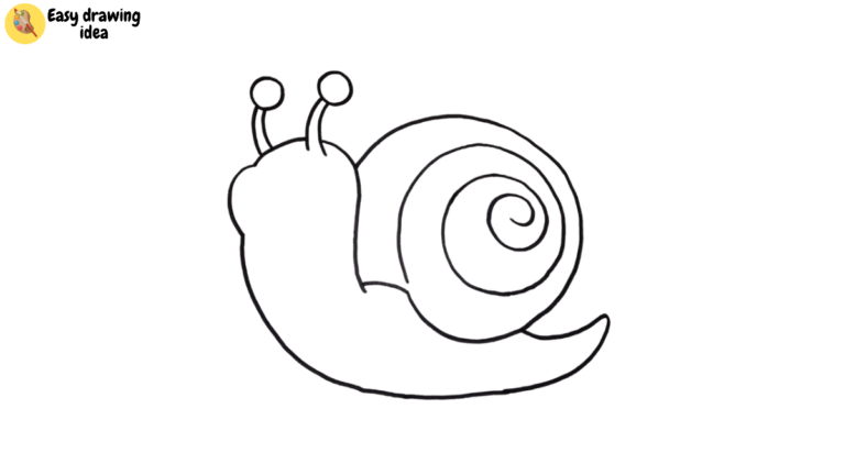 How to Draw a Snail Step By Step