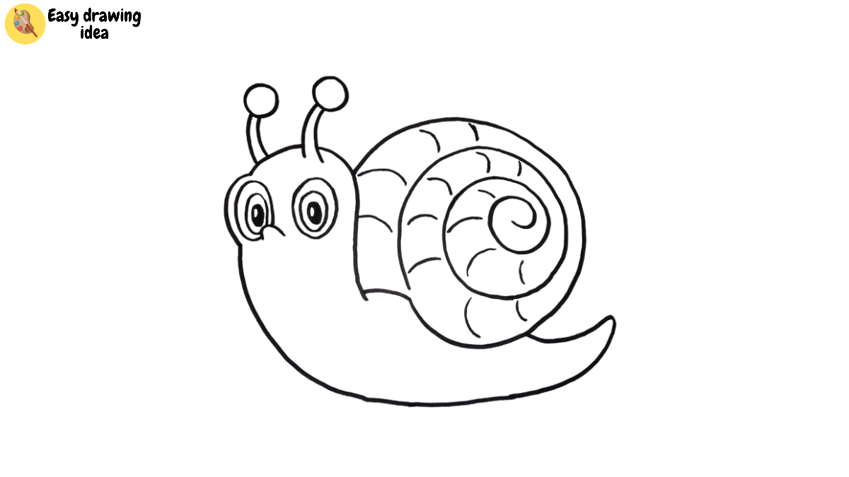 How to Draw a Snail Step By Step