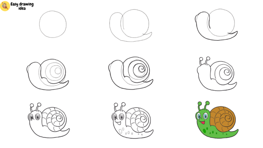 How to Draw a Snail Step By Step