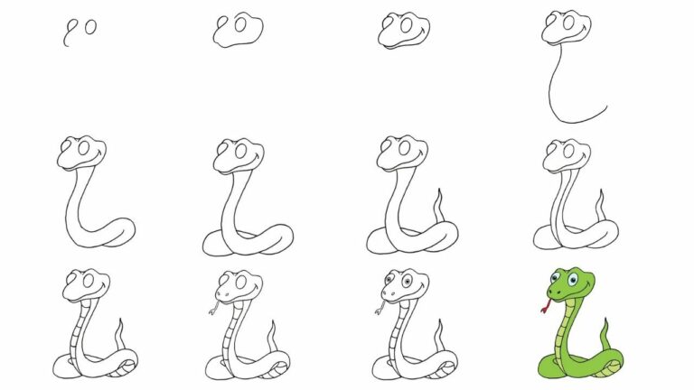 How To Draw A Snake Step By Step - Hand Of Art