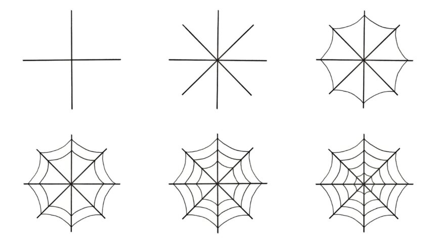 How to Draw a Spider Web Step By Step - Hand Of Art