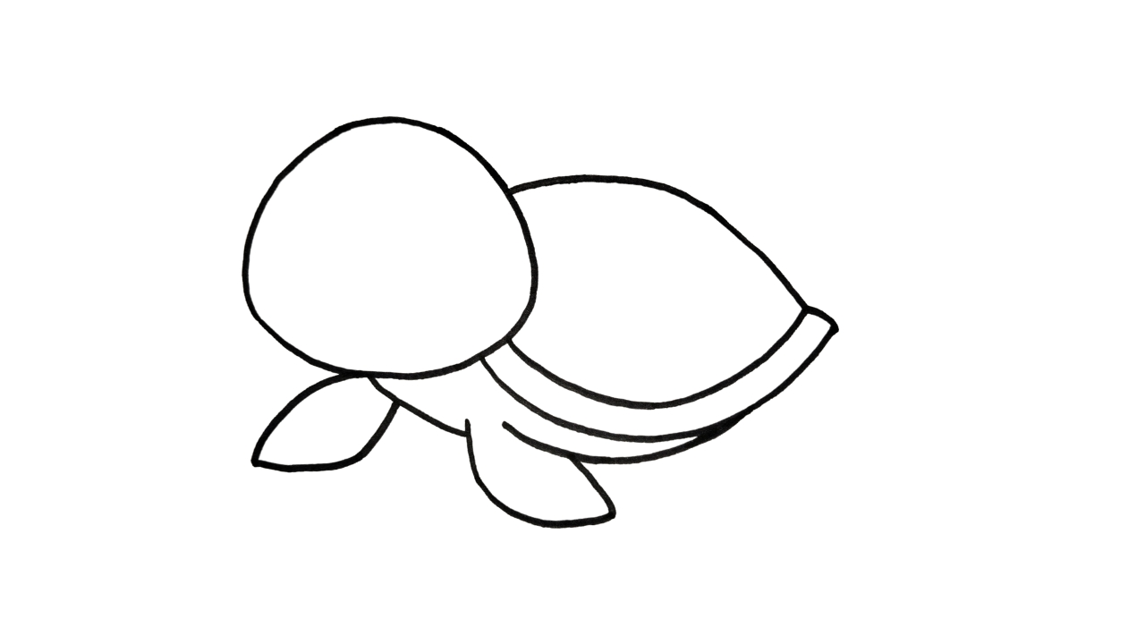 How To Draw A Turtle Step By Step