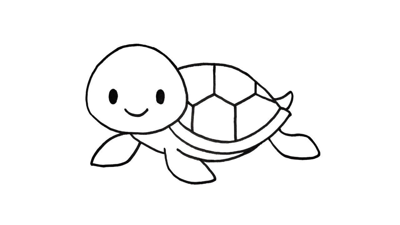 How To Draw A Turtle Step By Step