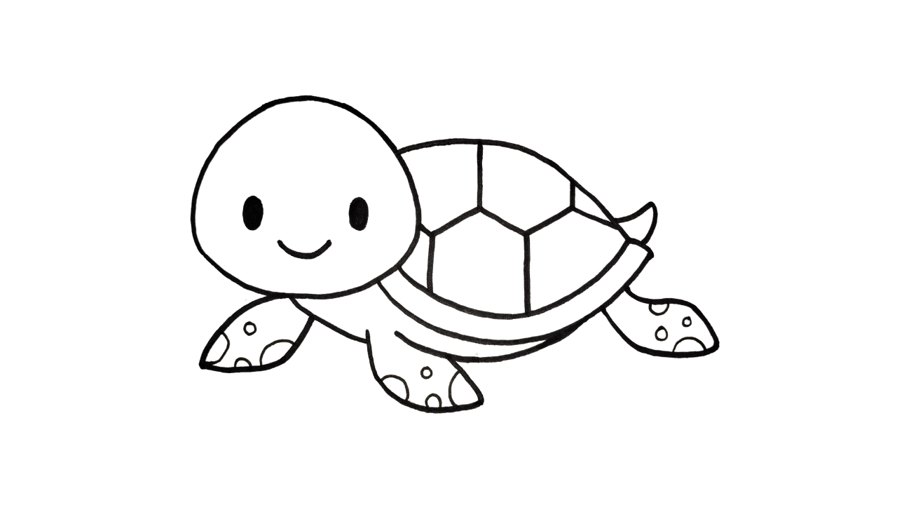 How To Draw A Turtle Step By Step