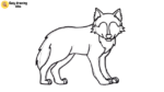 How To Draw A Wolf Step By Step