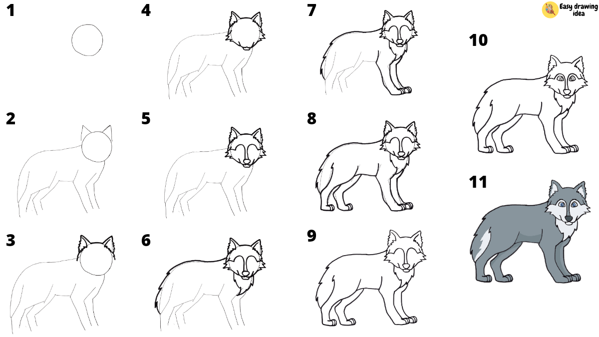 How To Draw A Wolf Step By Step
