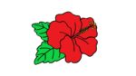 How to Draw a Hibiscus Flower Step By Step Guide - Hand Of Art