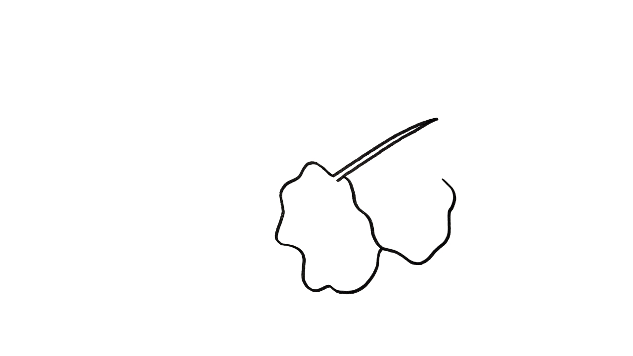 How to Draw a Hibiscus Flower Step By Step Guide - Hand Of Art