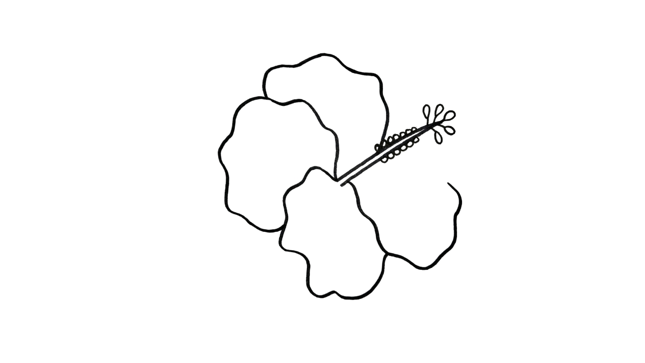 How to Draw a Hibiscus Flower Step By Step Guide - Hand Of Art