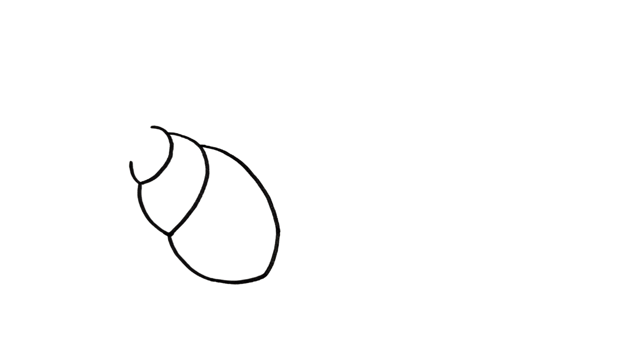 How to Draw Seashells Step By Step - Hand Of Art