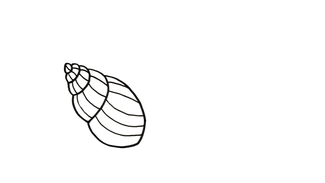 How to Draw Seashells Step By Step - Hand Of Art
