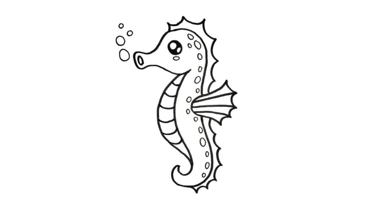 How to Draw A Seahorse Step-by-Step