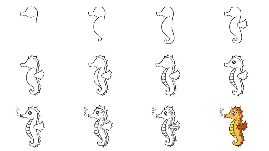 How to Draw A Seahorse Step-by-Step