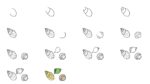 How to Draw Seashells Step By Step - Hand Of Art