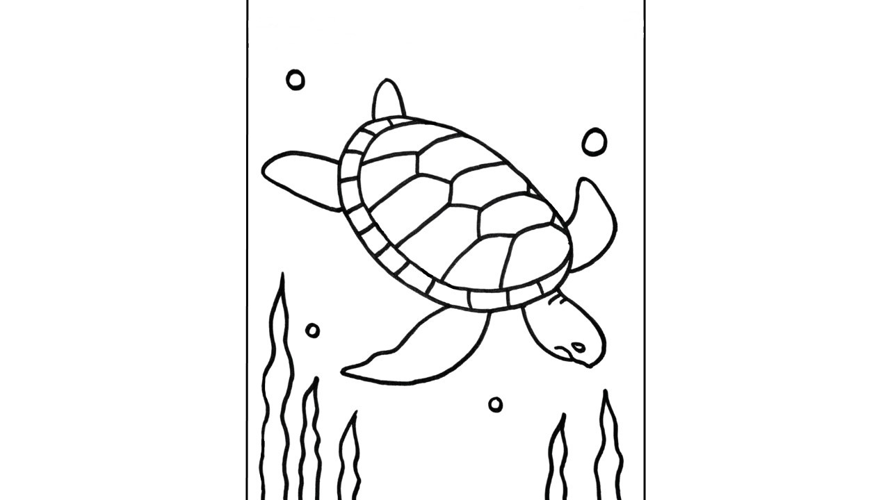 How To Draw A Sea Turtle Step By Step - Hand Of Art