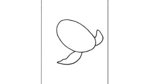 How To Draw A Sea Turtle Step By Step