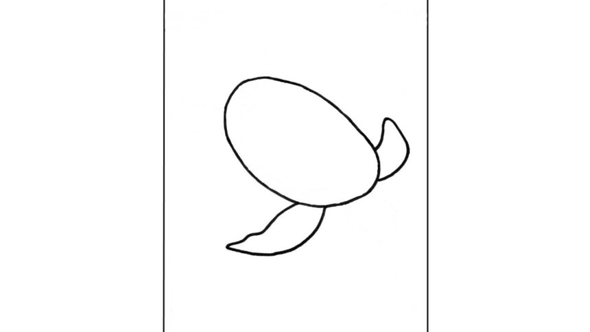 How To Draw A Sea Turtle Step By Step - Hand Of Art