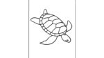 How To Draw A Sea Turtle Step By Step