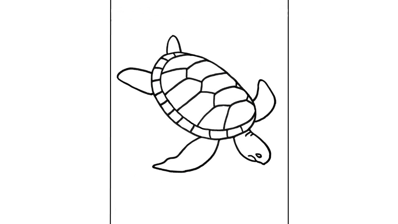 How To Draw A Sea Turtle Step By Step - Hand Of Art