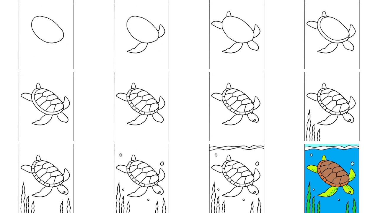 How To Draw A Sea Turtle Step By Step - Hand Of Art