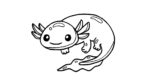 How to Draw an Axolotl Step by Step - Hand Of Art