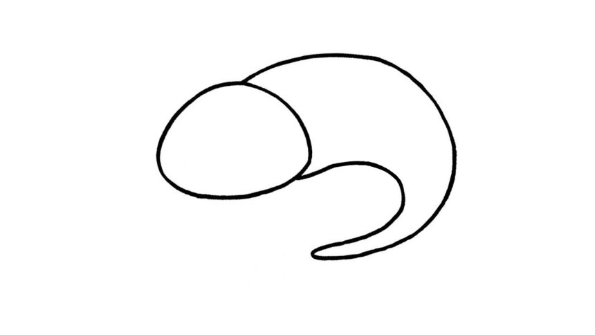 How to Draw an Axolotl Step by Step - Hand Of Art