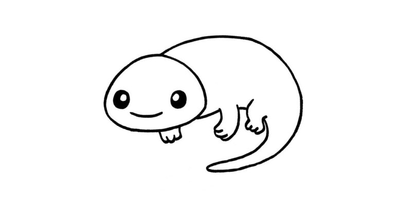 How to Draw an Axolotl Step by Step - Hand Of Art