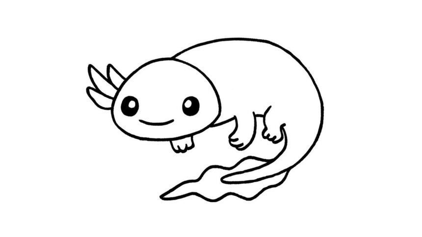 How to Draw an Axolotl Step by Step - Hand Of Art